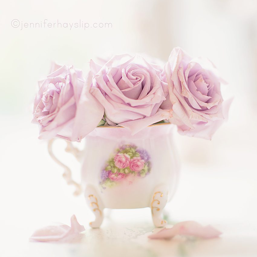 Simplistic Beauty Fine Art Photography Prints - Jennifer Hayslip