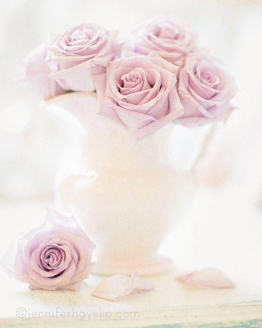 Simplistic Beauty Fine Art Photography Prints - Jennifer Hayslip